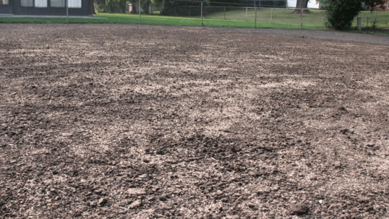 Landscaping company | Prepare soil for a healthy lawn